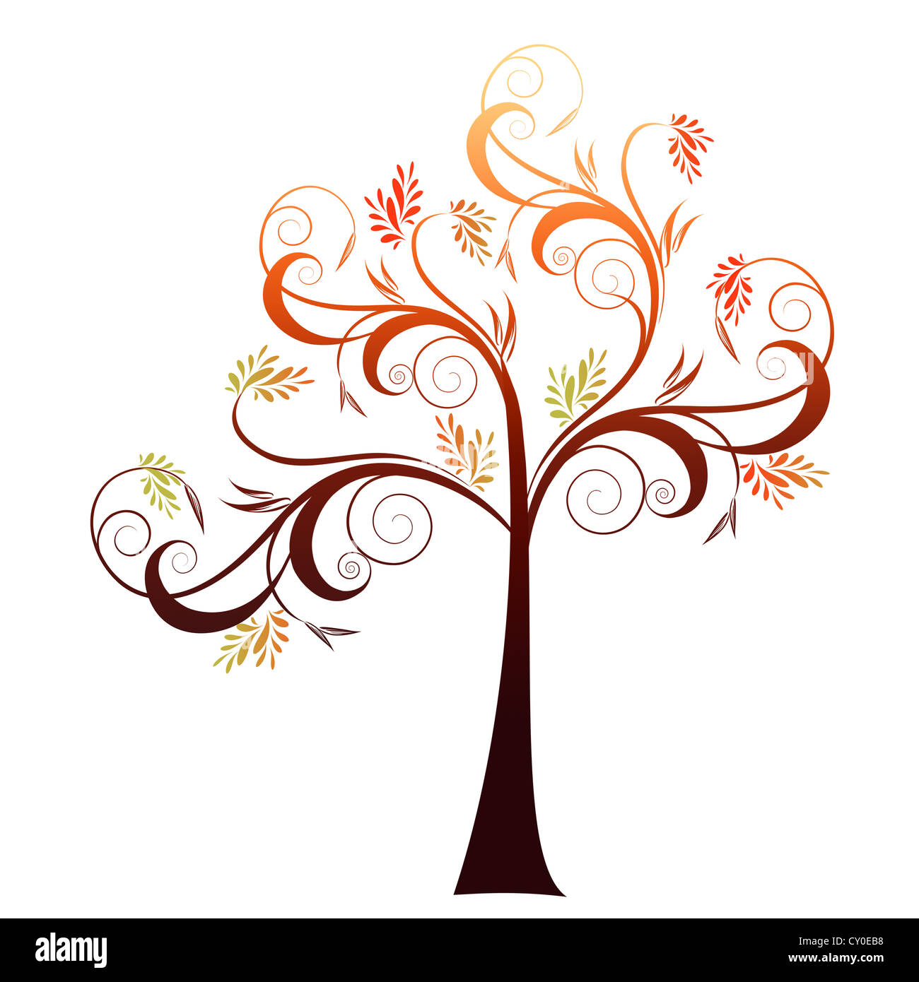 Beautiful autumn tree isolated on white background Stock Photo - Alamy