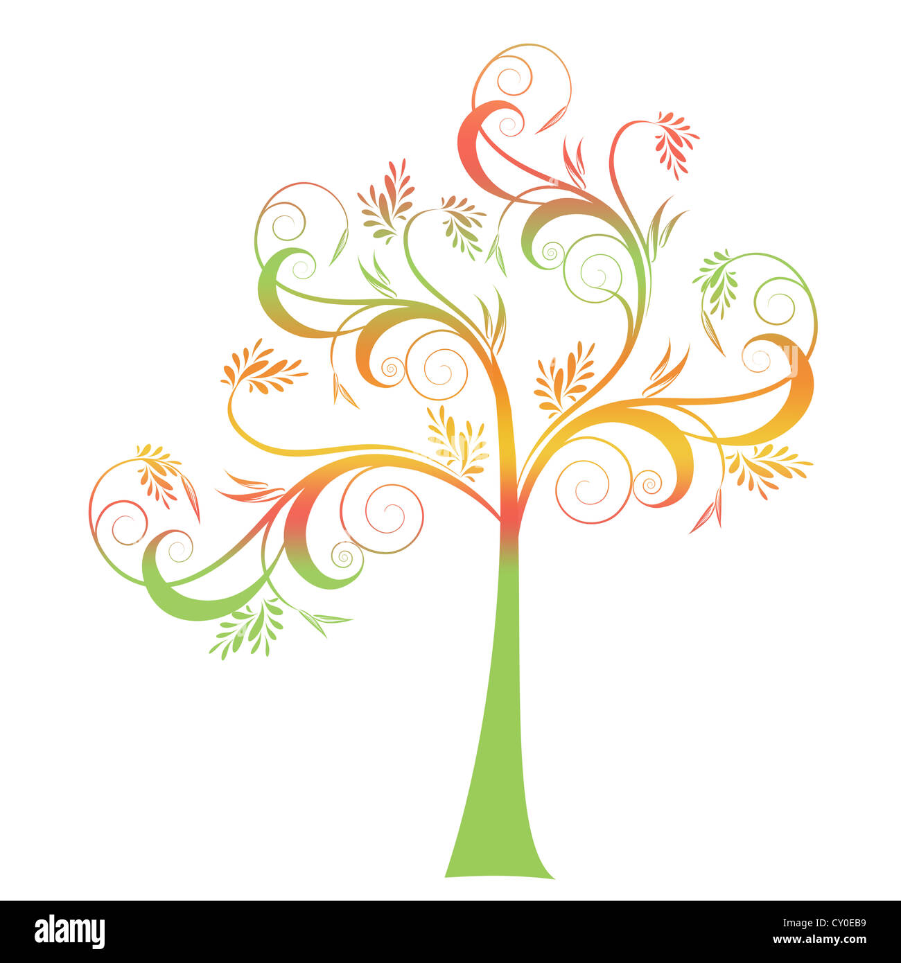 Beautiful autumn tree isolated on white background Stock Photo - Alamy