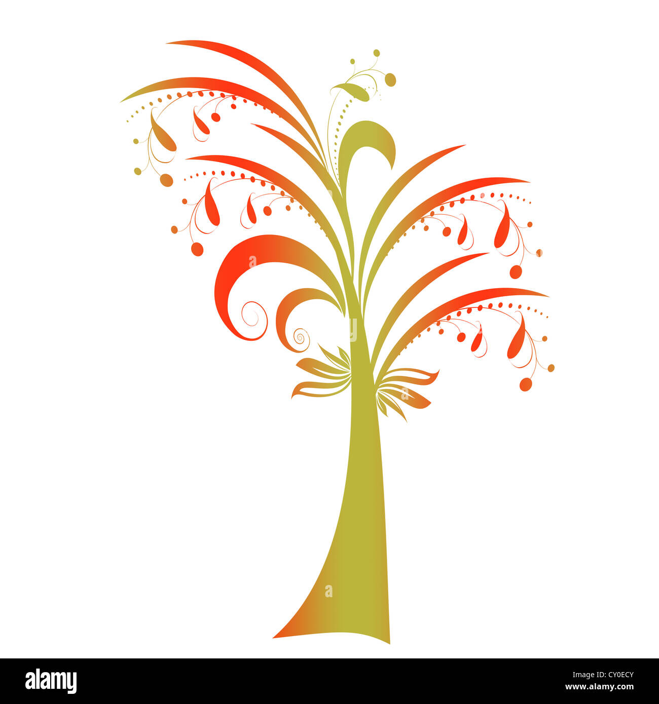 Beautiful autumn tree isolated on white background Stock Photo - Alamy