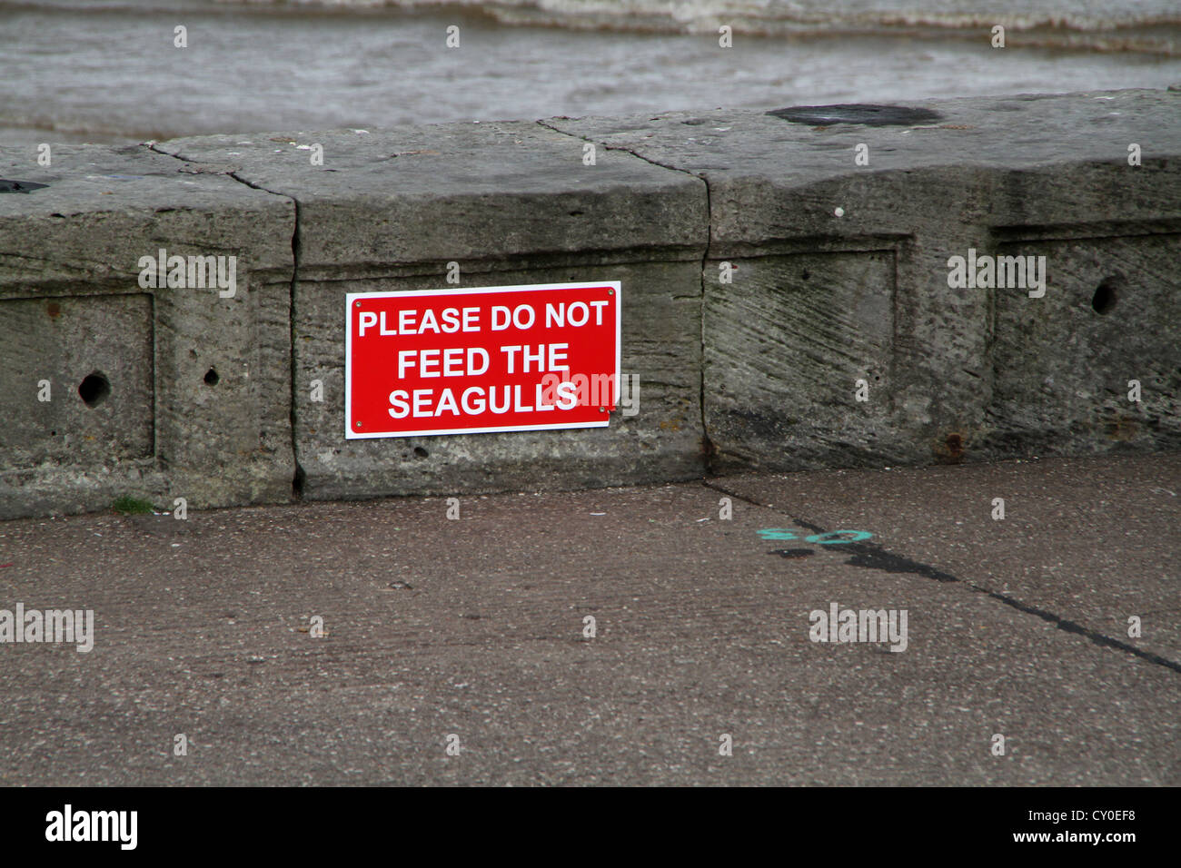 Do not feed seagull sign Stock Photo - Alamy