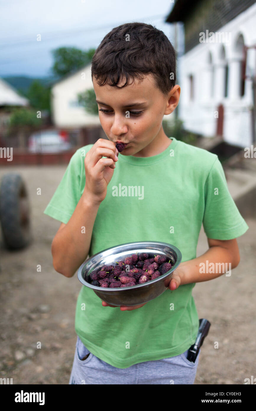 Closeup portrait of a child eating mulberries from a metal bowl Stock ...