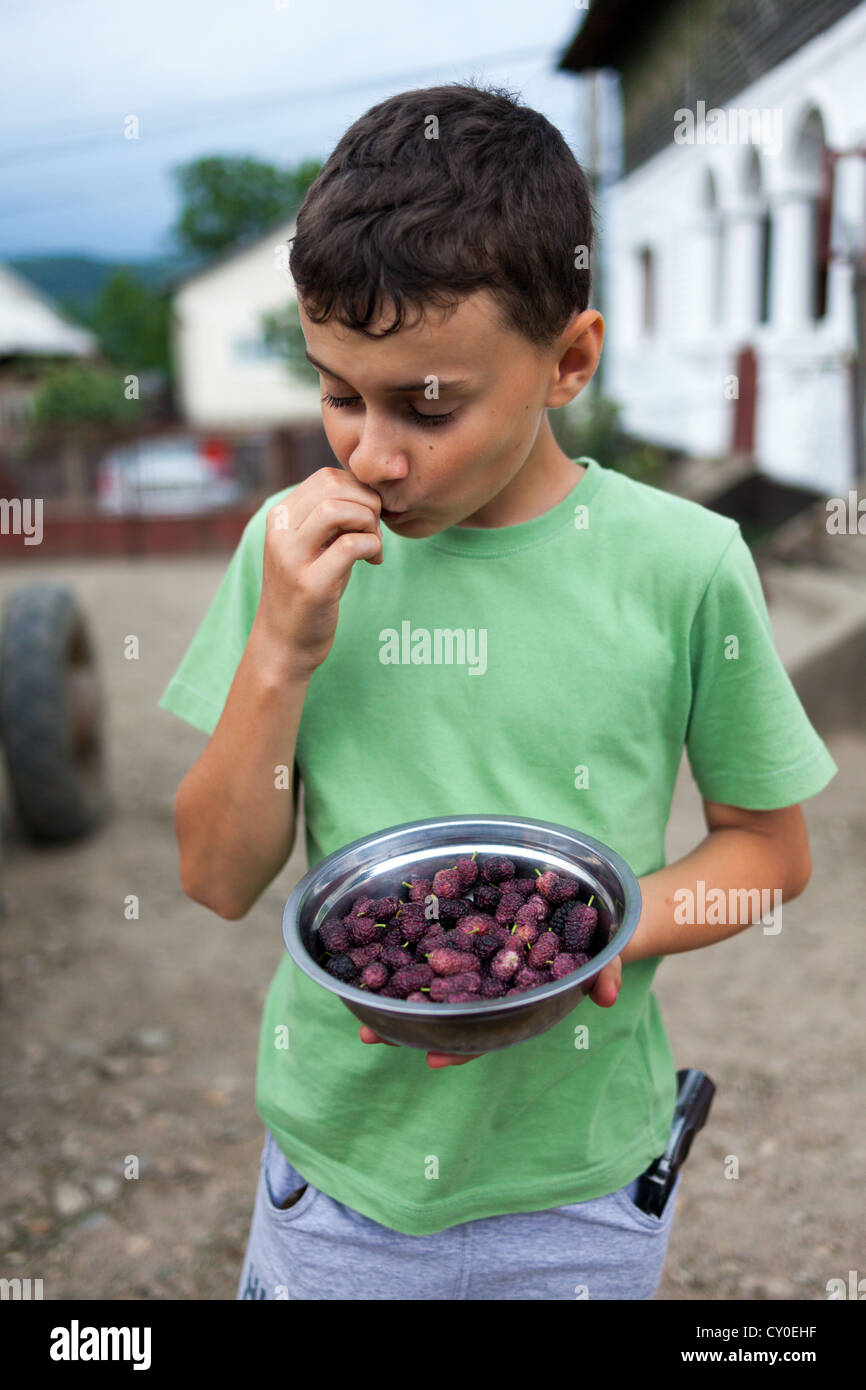 Closeup portrait of a child eating mulberries from a metal bowl Stock ...