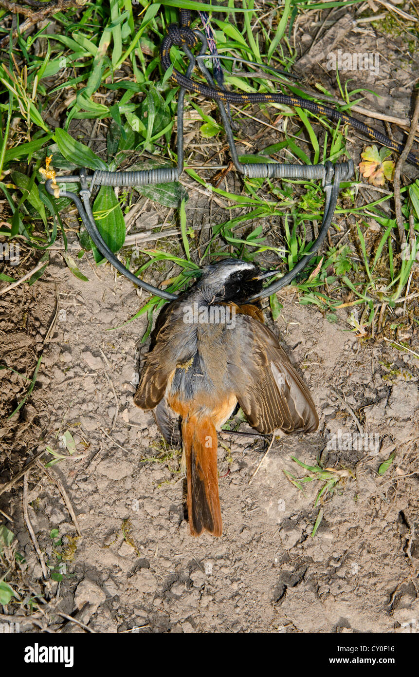 Migrant ponza italy spring clap trap hi-res stock photography and ...