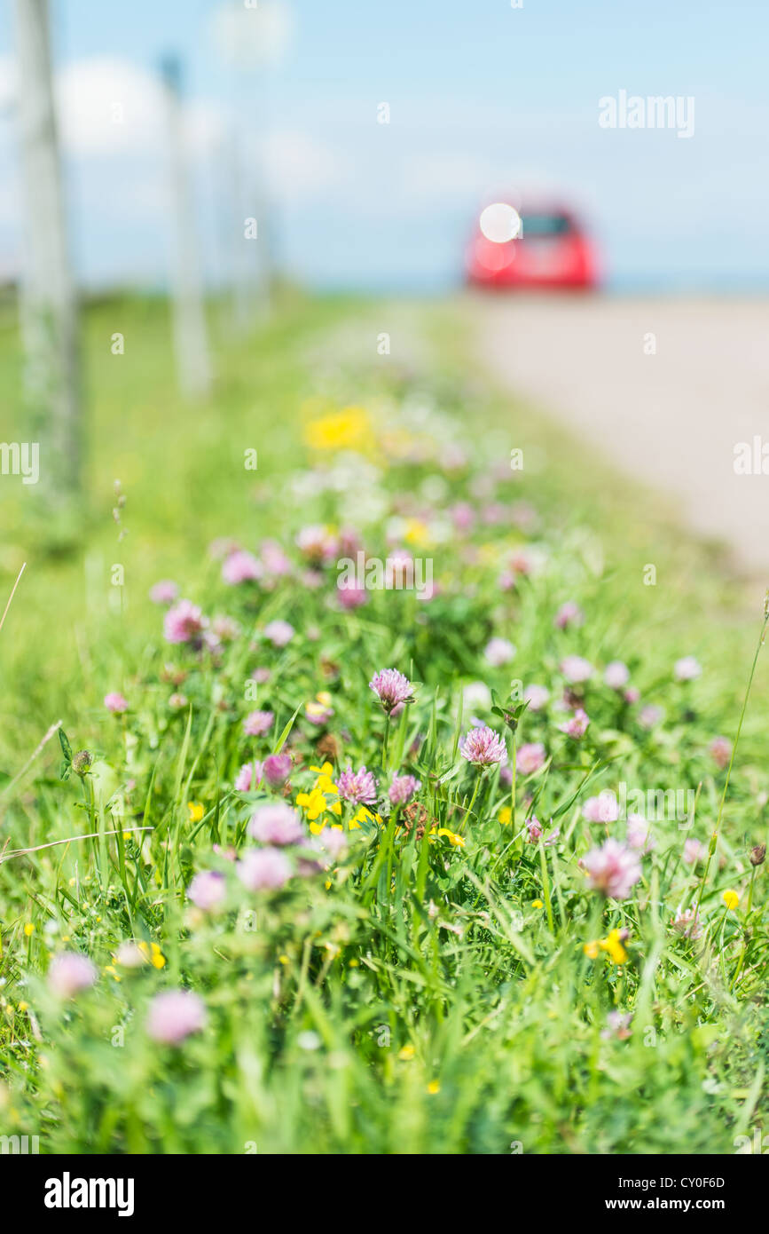 Distant car parked by lake in scenic landscape at summer Stock Photo ...