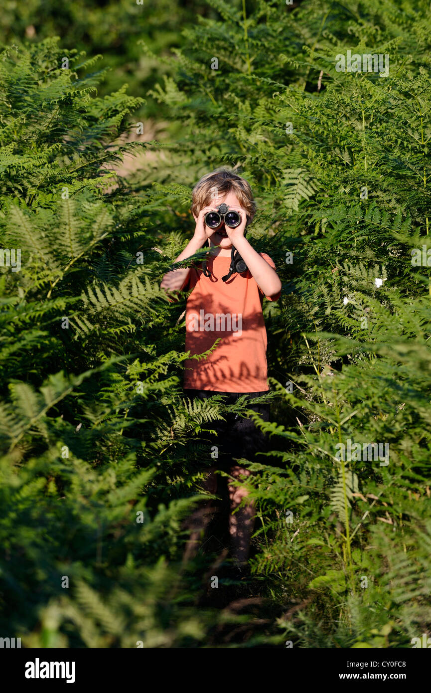 Young boy bird watching in meadow Norfolk summer Model released Stock ...