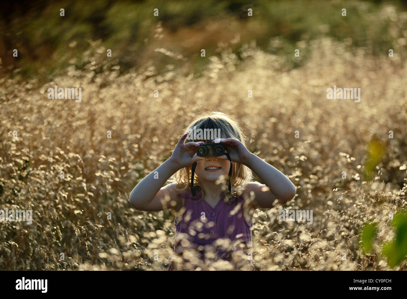 Young girl bird watching in meadow on a summer evening in Norfolk Stock ...