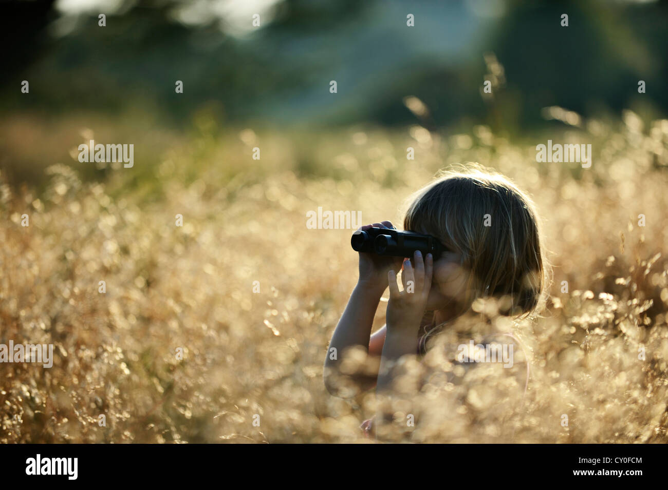 Young girl bird watching in meadow on a summer evening in Norfolk Stock ...