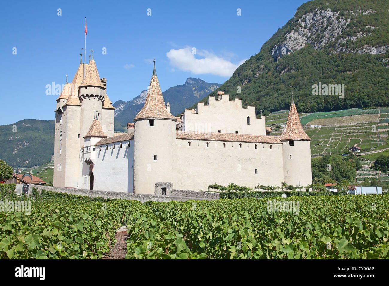 Famous castle Chateau d'Aigle in canton Vaud, Switzerland Stock Photo ...