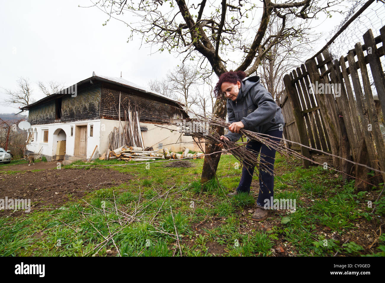 Full length portrait gathering wooden sticks in the countryside Stock ...