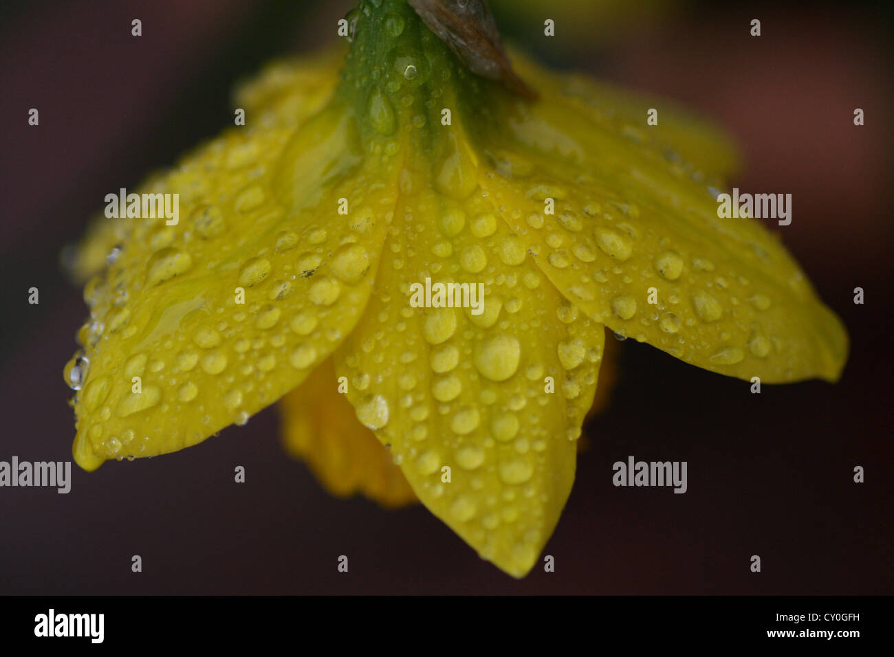 Rain finally stopped hi-res stock photography and images - Alamy