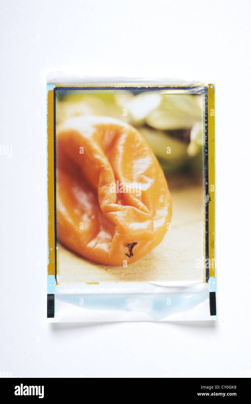 Old Photograph of a Date Stock Photo - Alamy