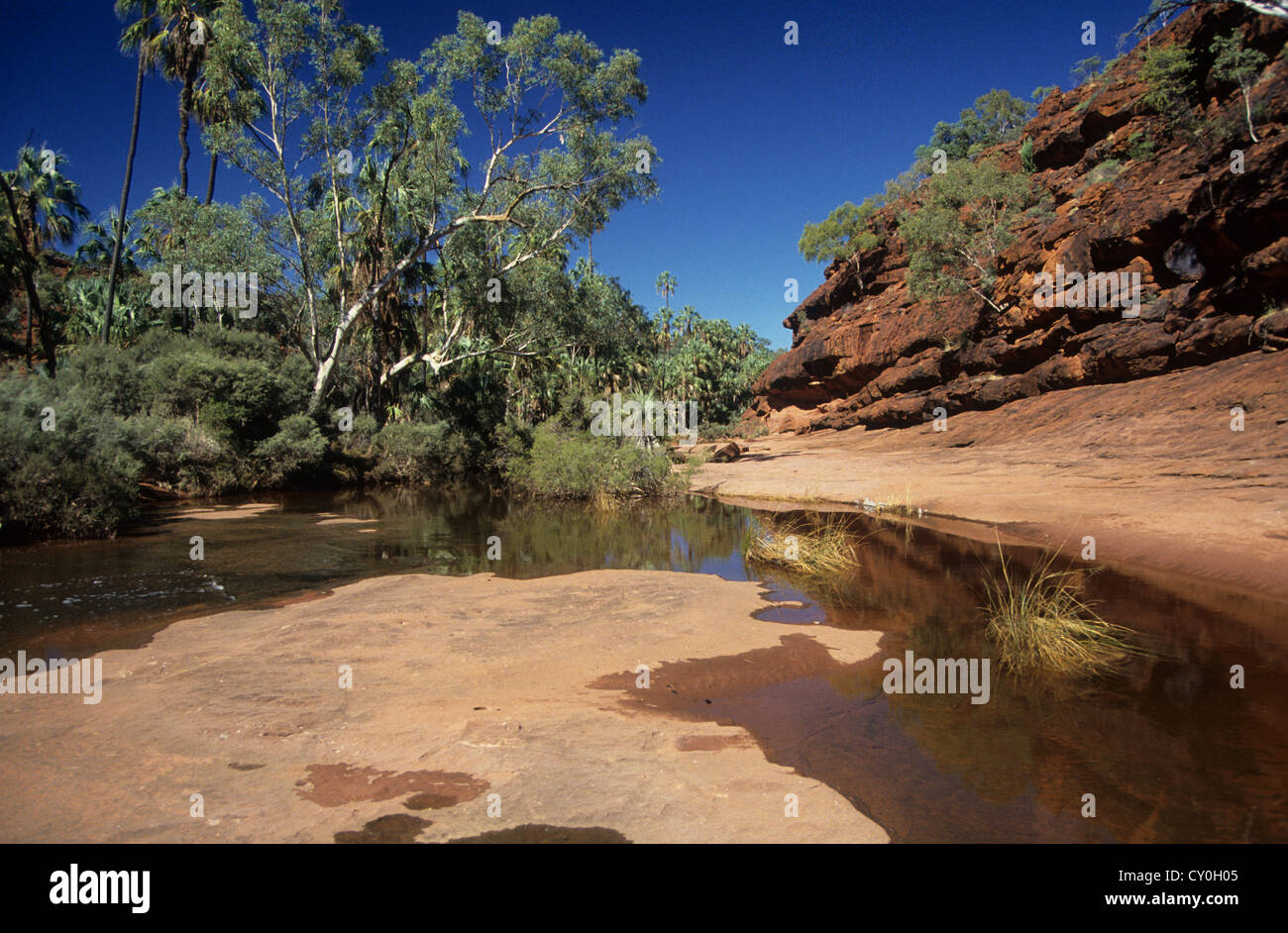 Australia, Northern Territory, outback, Palm Valley Stock Photo - Alamy