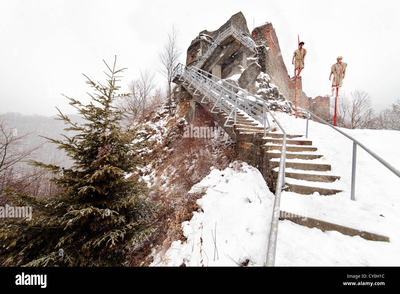 Poenari hi-res stock photography and images - Alamy
