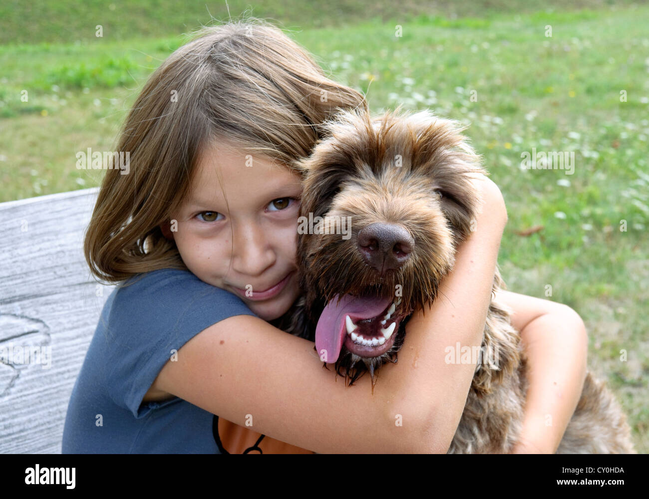 Mongrel dog hi-res stock photography and images - Alamy