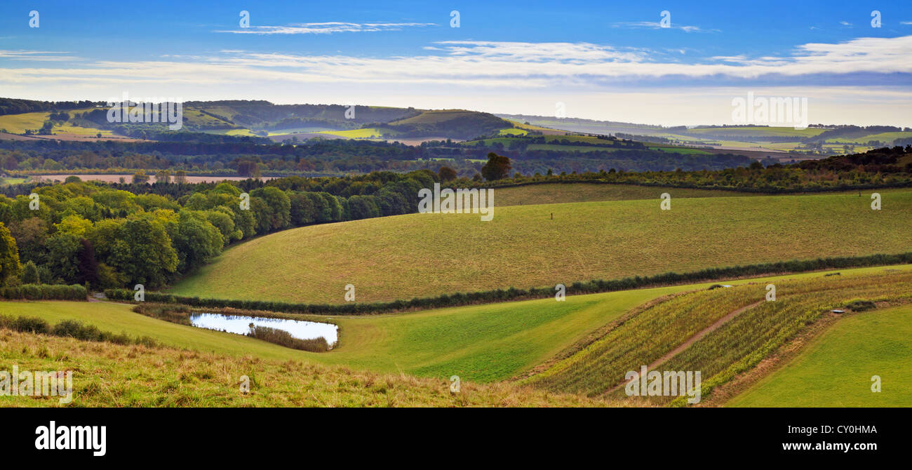 The South Downs national park in Hampshire England, taken from the ...