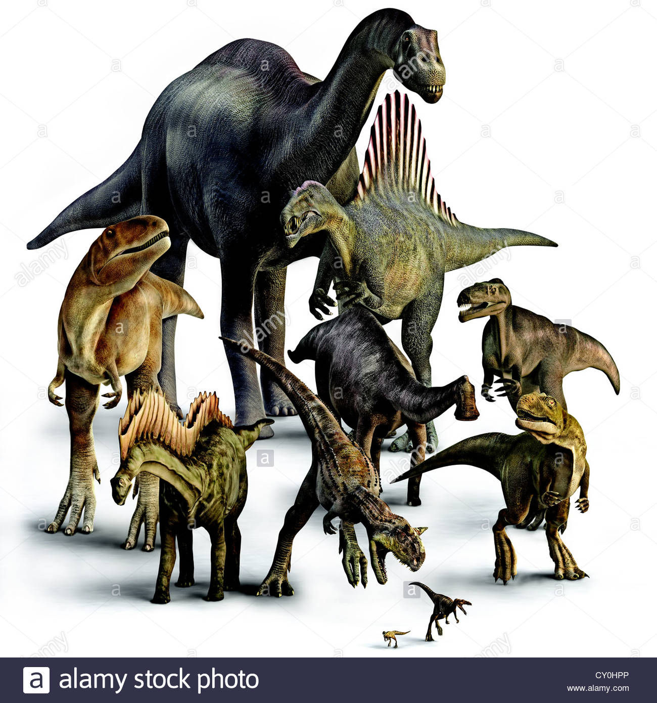 Amargasaurus Stock Photos & Amargasaurus Stock Images - Alamy