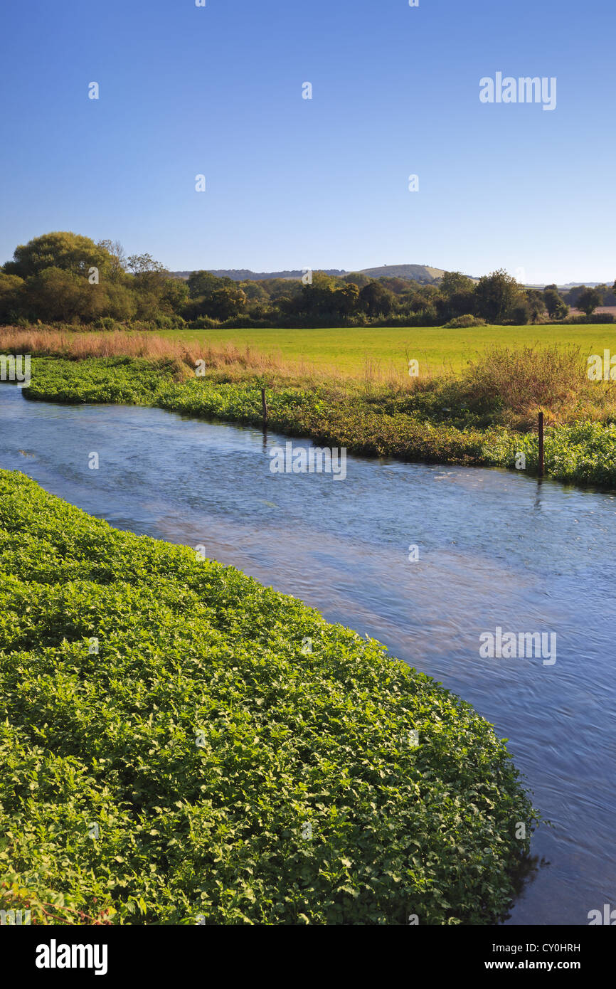 The River Meon at Exton in Hampshire England with Old Winchester Hill ...