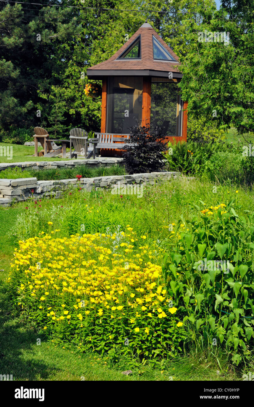 Primrose varieties hi-res stock photography and images - Alamy