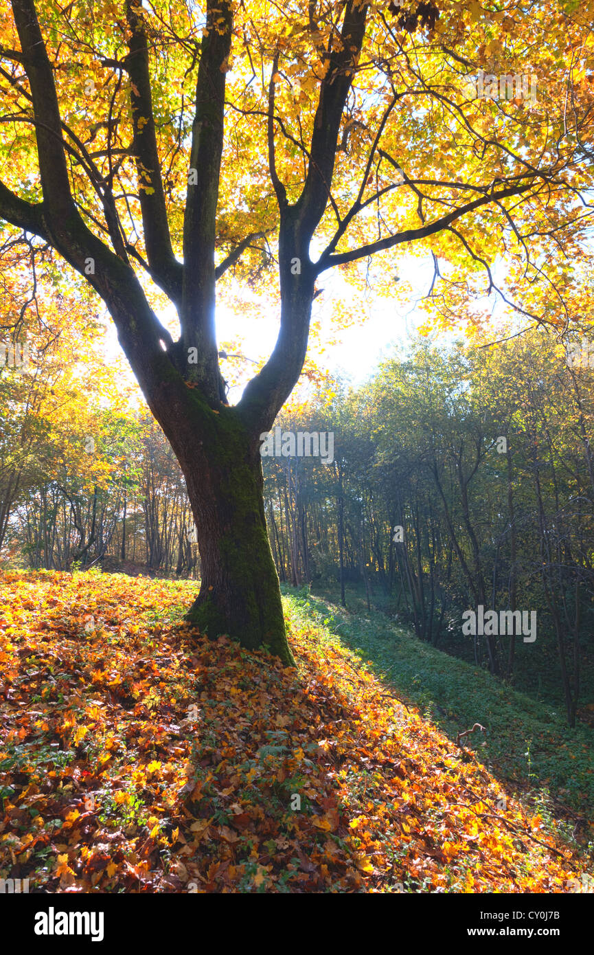Hdri sunrise hi-res stock photography and images - Alamy