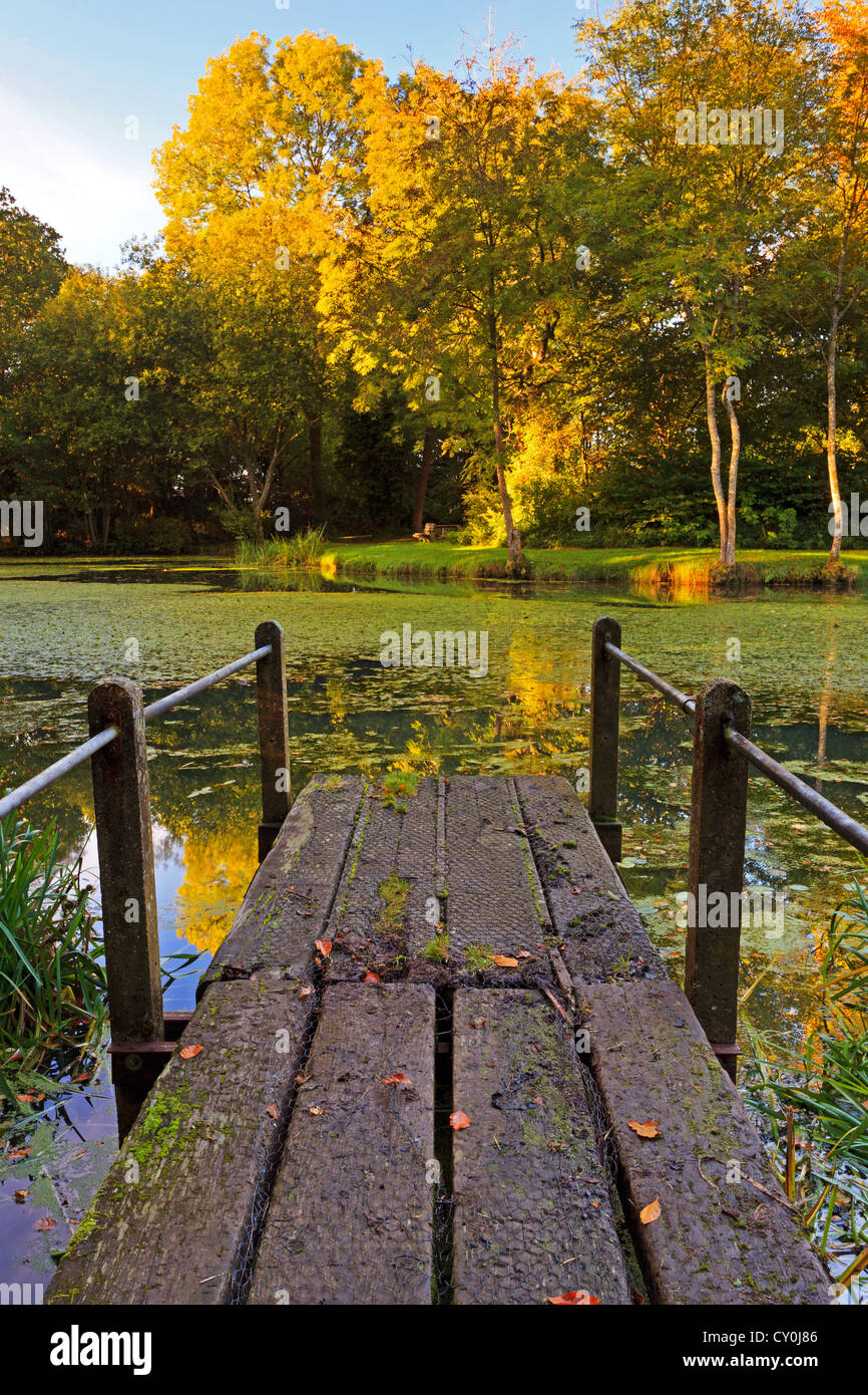 Photo of a small wooden jetty on Swelling Hill pond in Hampshire ...