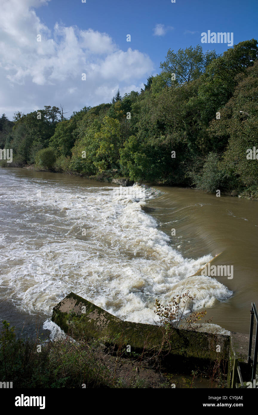 Weir on River Torridge from Tarka Trail, North Devon UK Stock Photo - Alamy