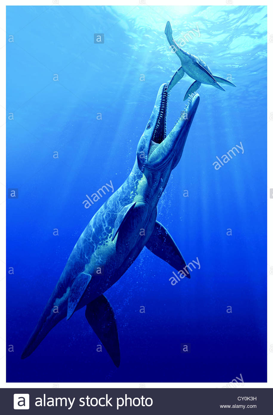 Pliosaur Stock Photos & Pliosaur Stock Images - Alamy