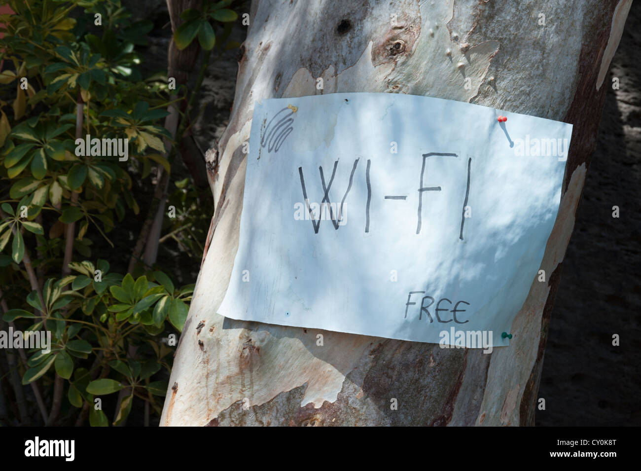 Hand written wi-fi sign pinned to a tree Stock Photo - Alamy