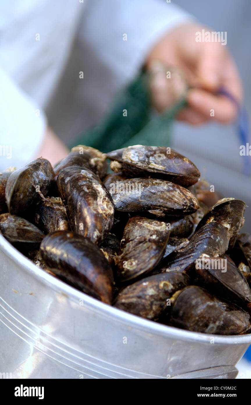 Chef Preparing Mussels Stock Photo - Alamy