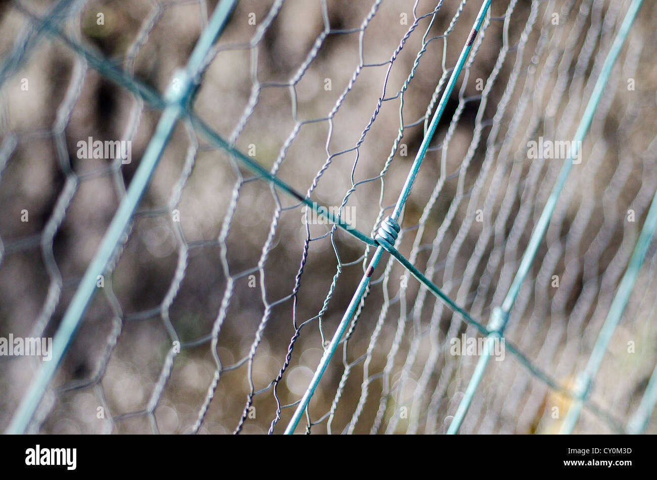 Metal cage caging hi-res stock photography and images - Alamy