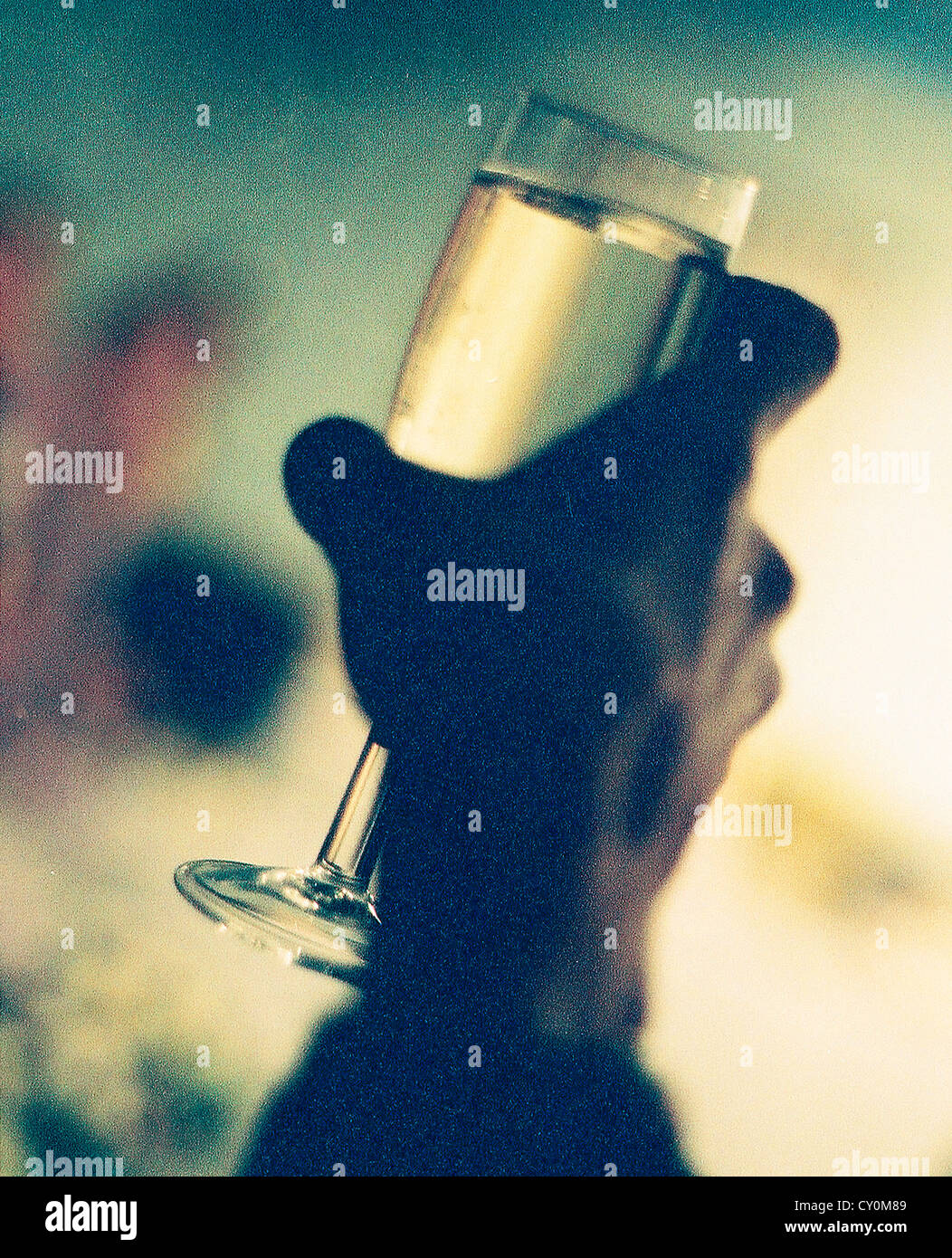 A Raised Glass of Champagne Stock Photo - Alamy