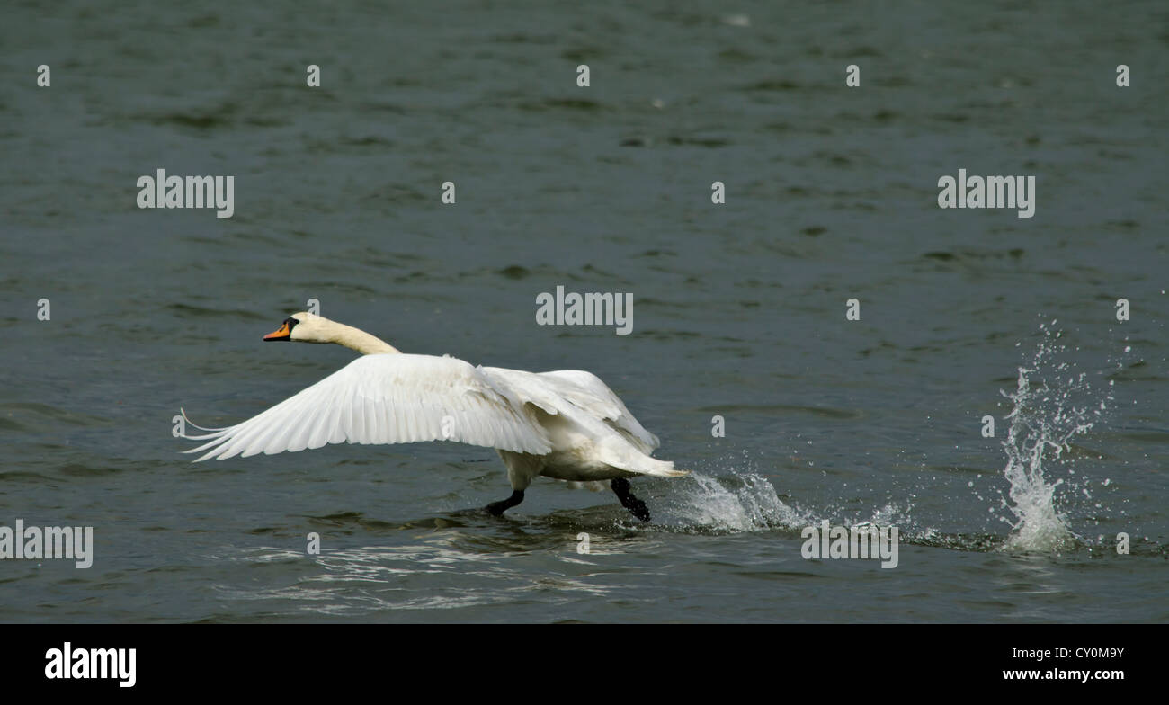 Flying river hi-res stock photography and images - Alamy