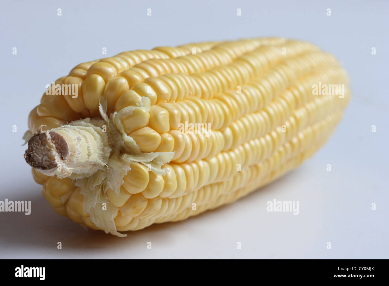 Mesoamerica maize hi-res stock photography and images - Alamy