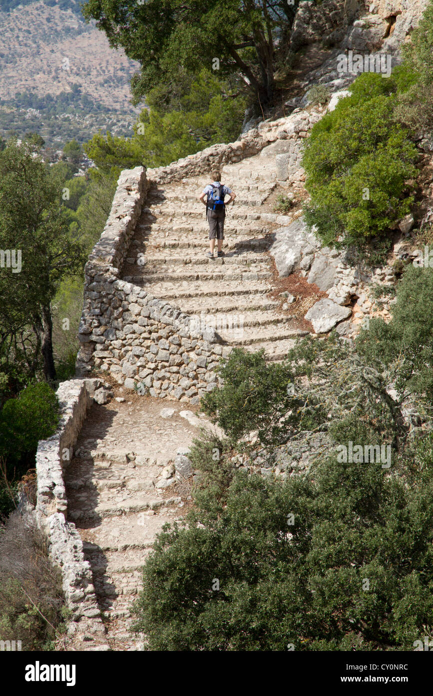 hiker on steps trail to Castillo de Alaro' castle, Puig de Alaro ...