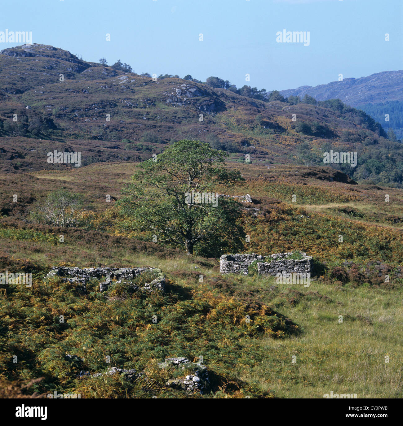 Loch moidart scotland hi-res stock photography and images - Alamy