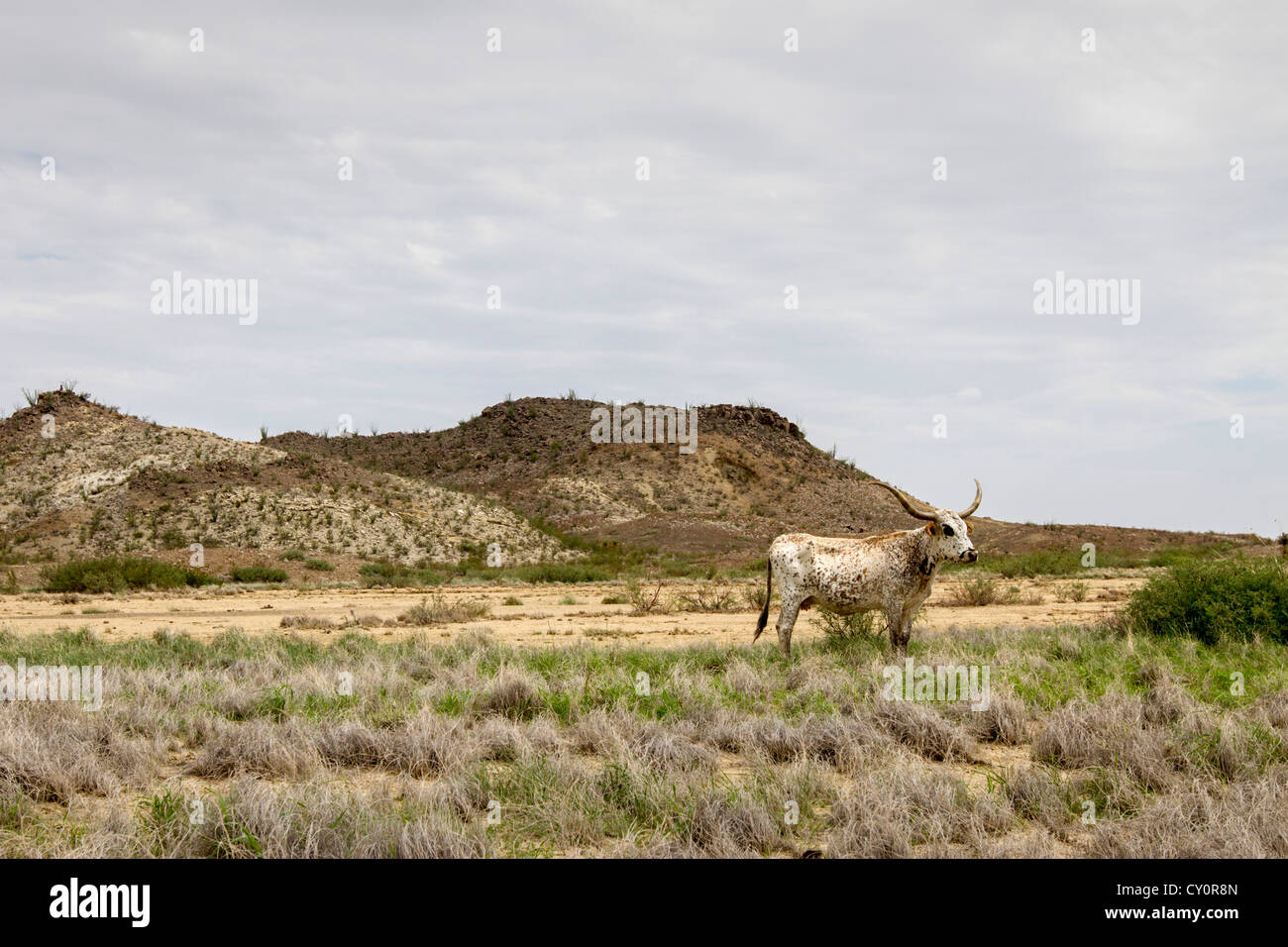 Open range hi-res stock photography and images - Alamy
