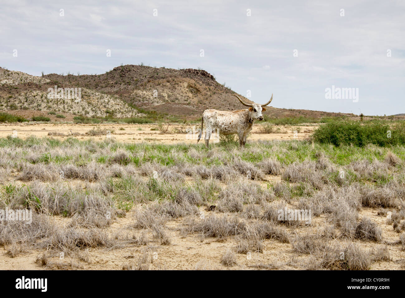 Open range hi-res stock photography and images - Alamy
