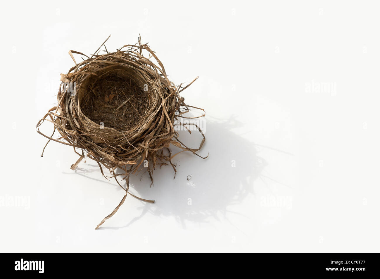Empty bird nest hi-res stock photography and images - Alamy