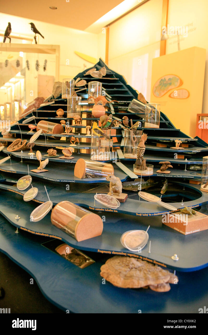 Geology exhibits hi-res stock photography and images - Alamy