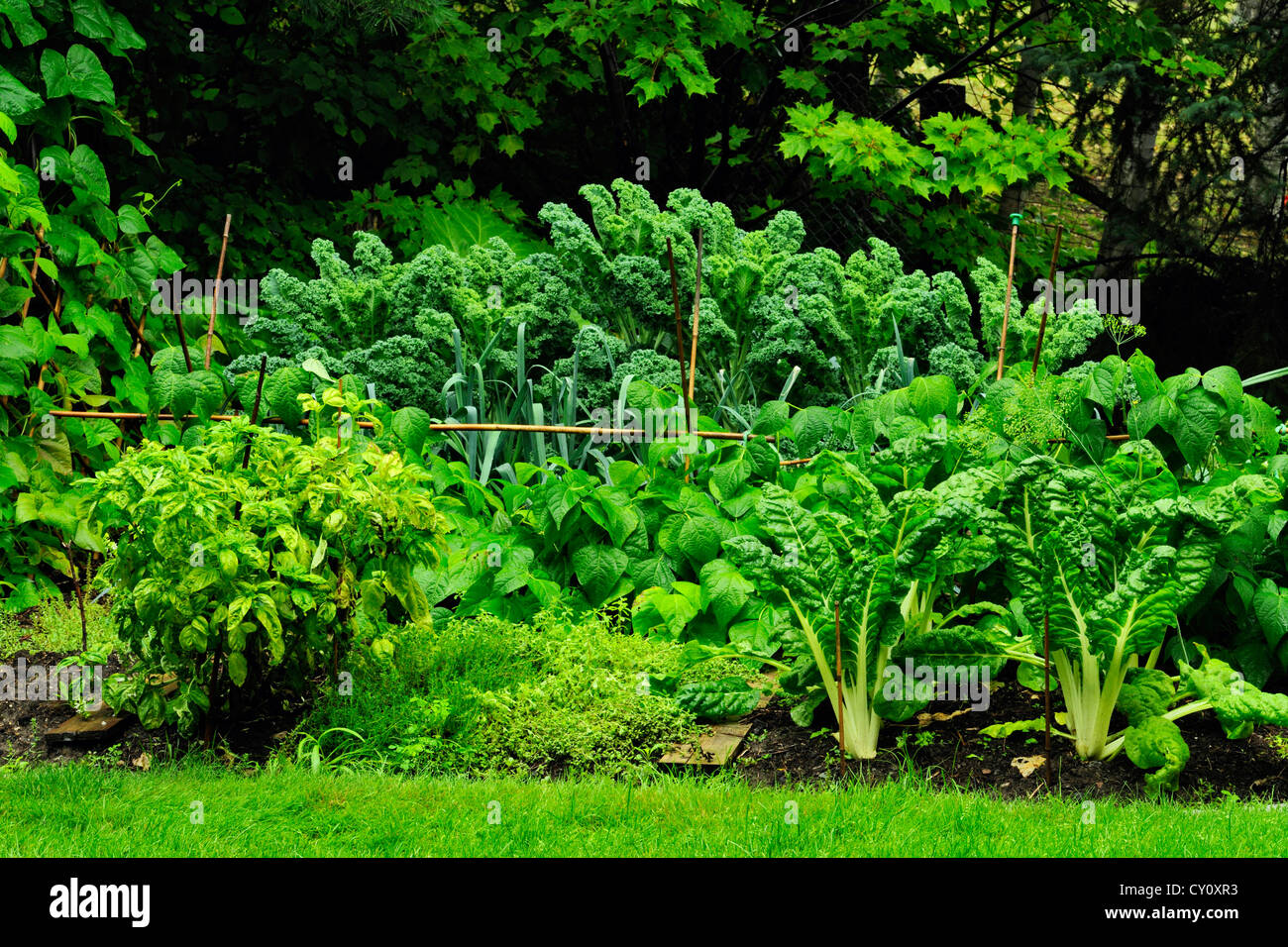 Ontario vegetable gardens hi-res stock photography and images - Alamy