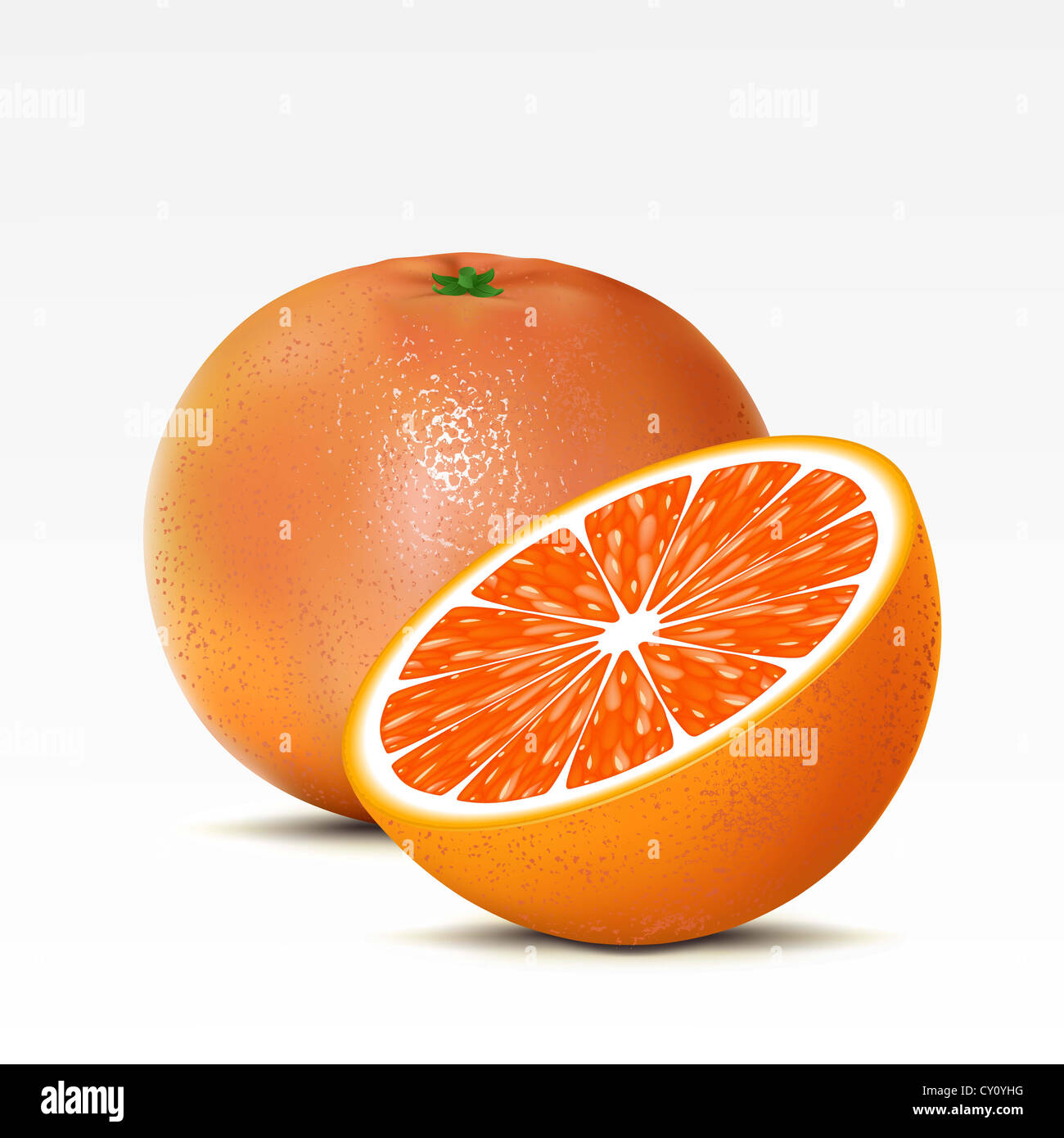 Two grapefruits on a white background Stock Photo - Alamy