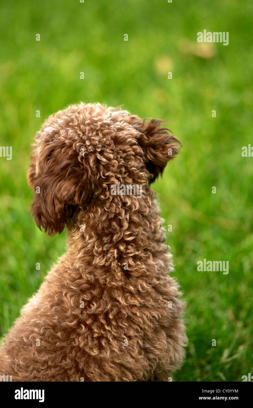 Teddy bear on ground nobody hi-res stock photography and images - Alamy
