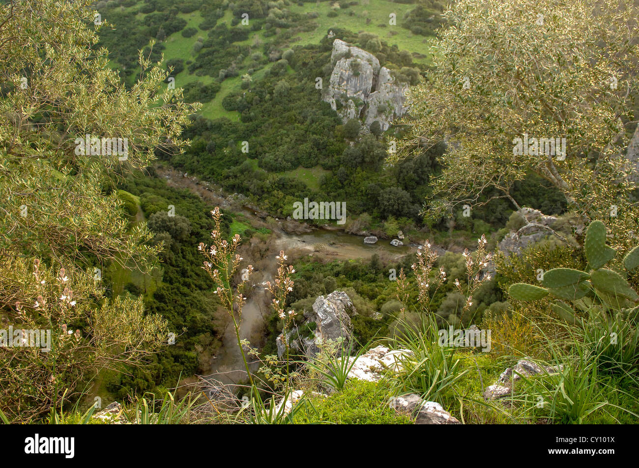Europe Italy Sardinia Province of Oristano Rio Mannu, Medusa castle ...