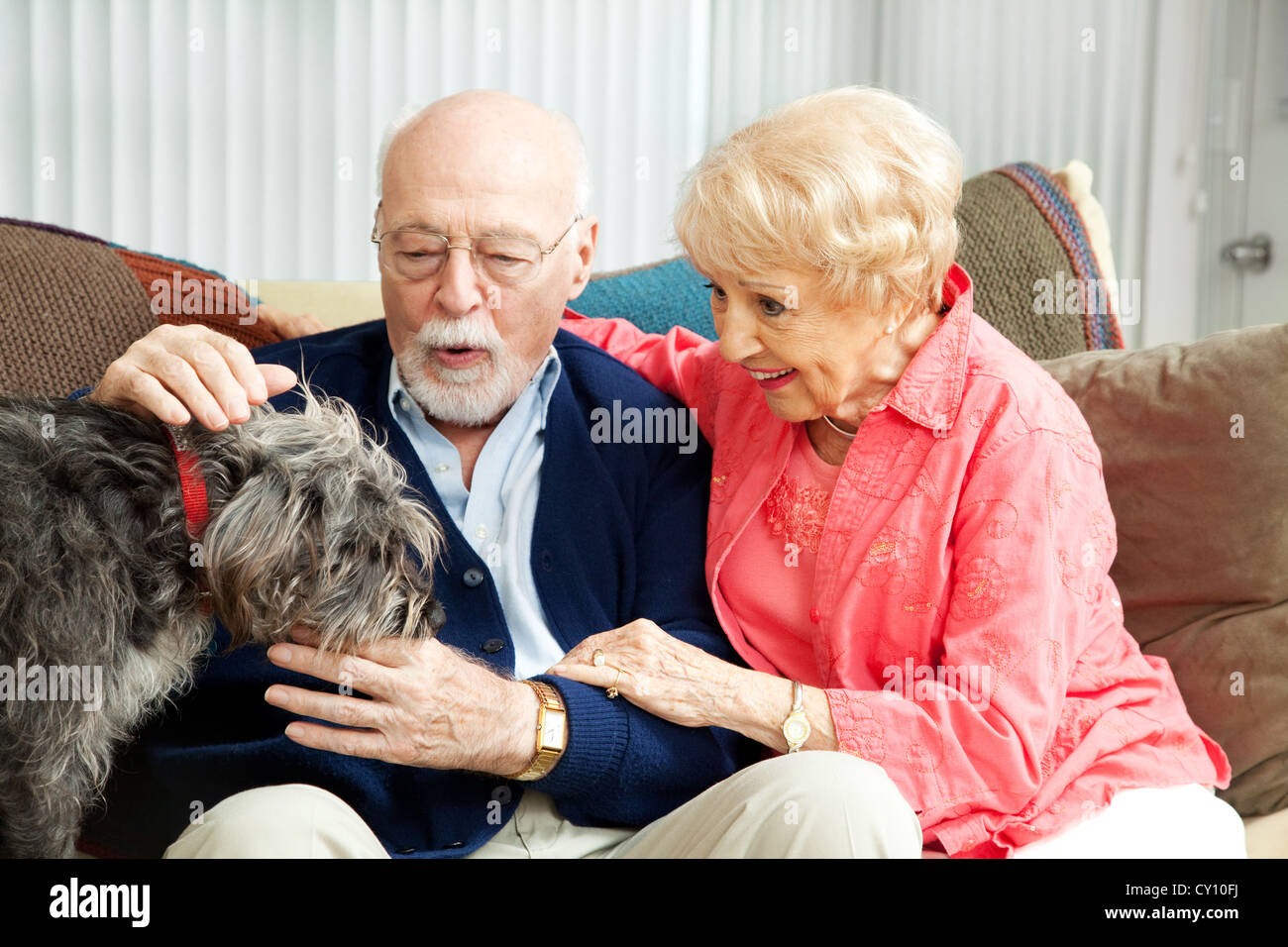 Happy scruffy dog hi-res stock photography and images - Alamy