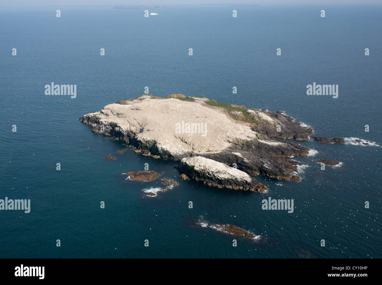 Aerial view of Grassholm Island a major nesting site for gannets ...
