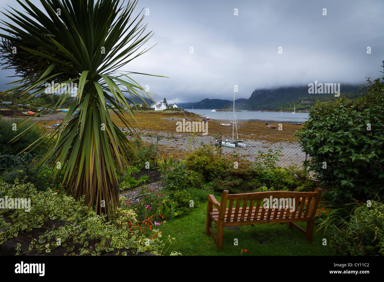 Palm tree and wooden seat in bay front garden, Plockton, Loch Carron ...