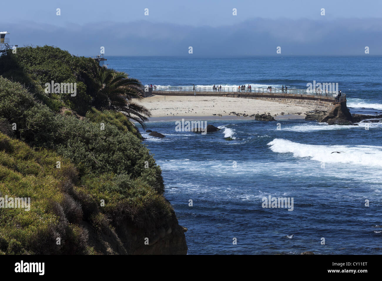Marine layer, Californian coastline at La Jolla, Southern California ...