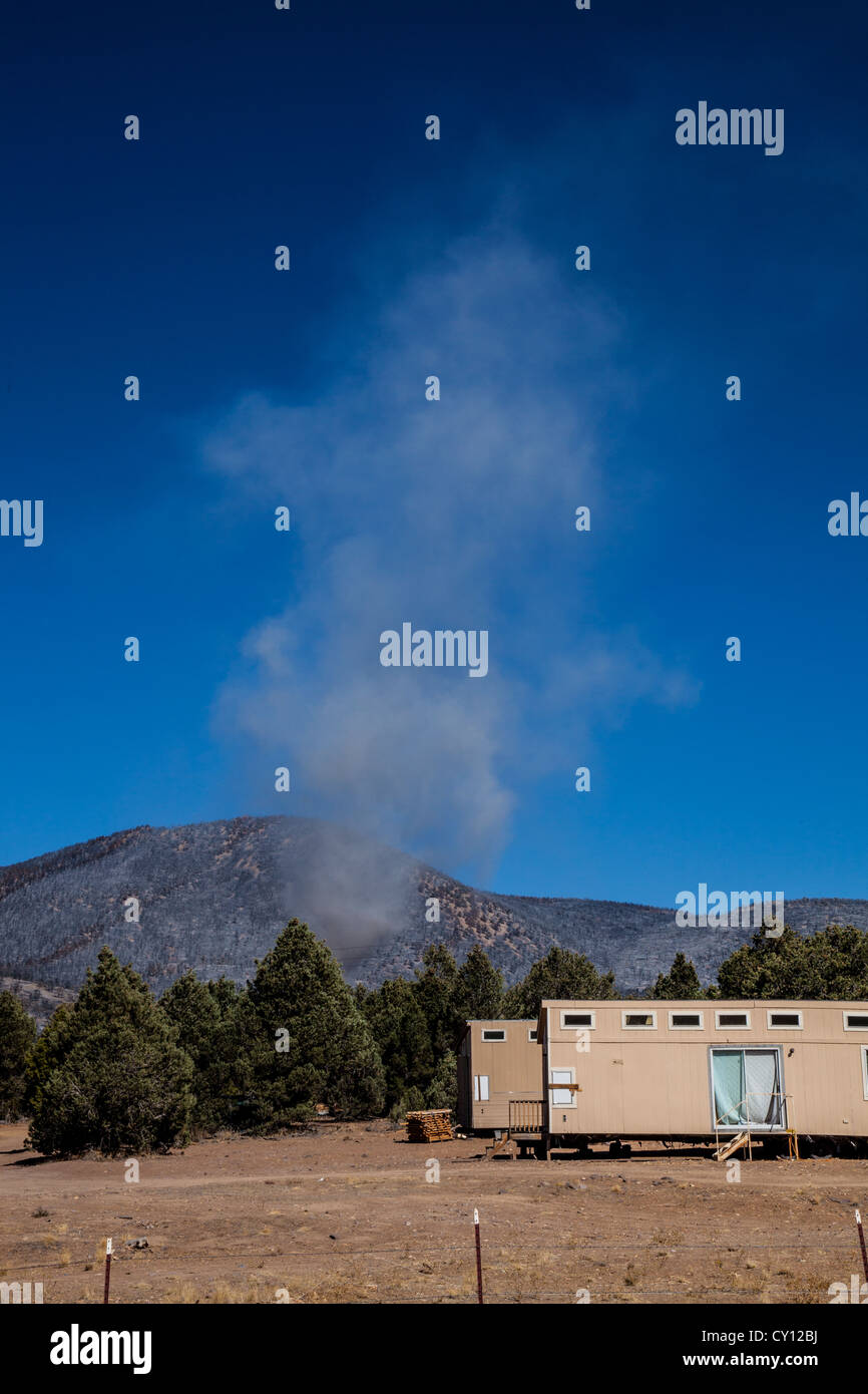 A dust devil made up of ash from a recent forest fire at the named Pine ...