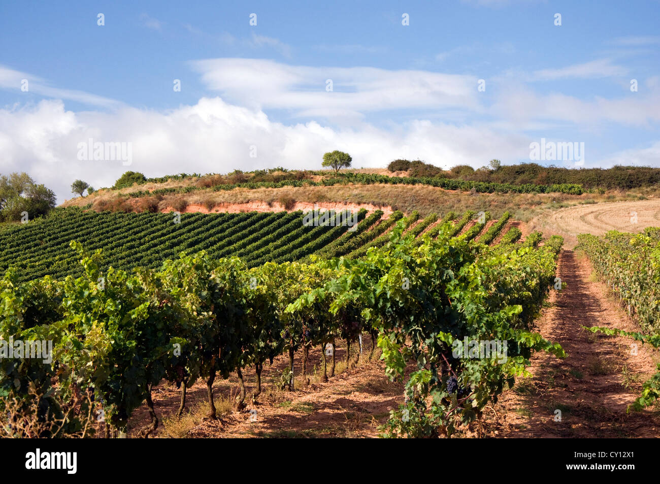 Rural landscape in la rioja hi-res stock photography and images - Alamy