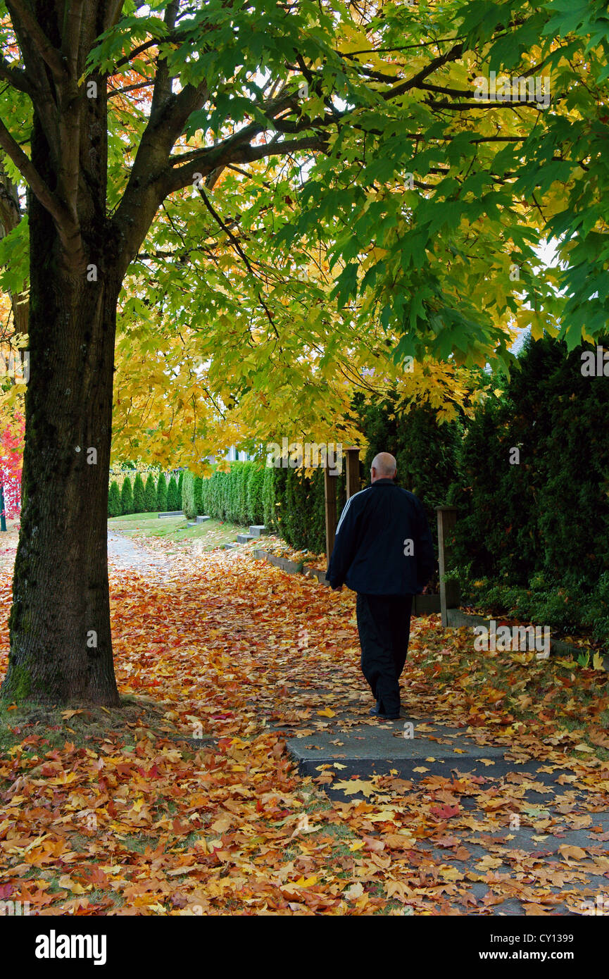 Beneath some trees hi-res stock photography and images - Alamy