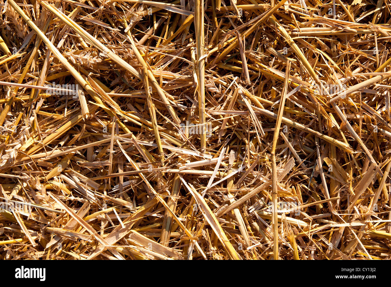 Straw texture background Stock Photo - Alamy
